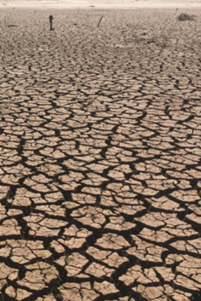 Sun Baked Soil | Royal Road
