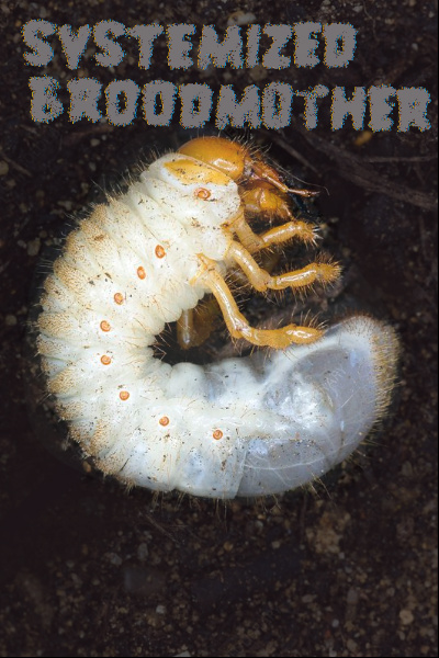 Chapter 4 – Taken by gobs - Systemized Broodmother | Royal Road