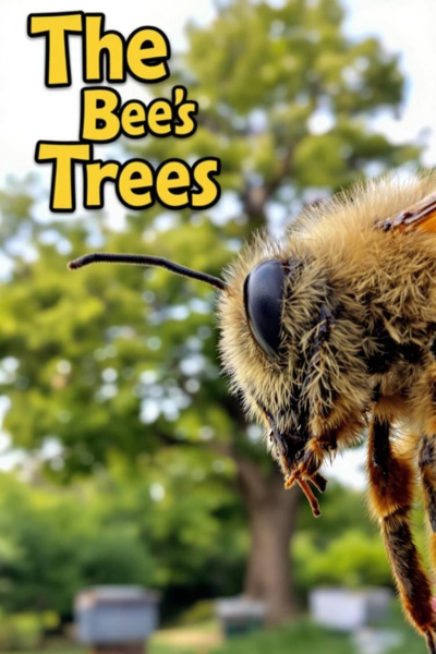 Have a Little Faith in Me - The Bee's Trees | Royal Road