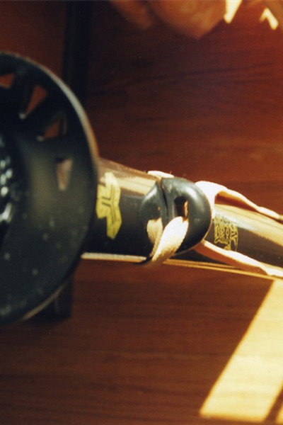 The Celestial Blade | Royal Road