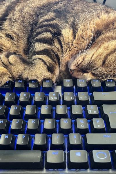 Newest Fictions | Royal Road