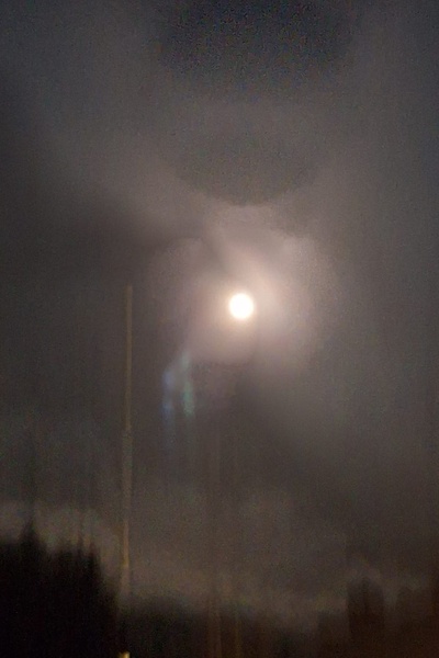 ELiTE - The Eternity Trials – The Divine Game of TET | Royal Road