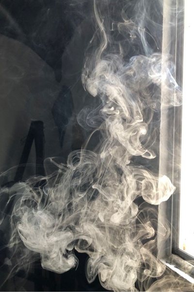 New Zealand - The High and Low of Sophomore Year | Royal Road