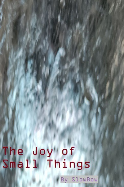 Deals, Decisions, and Just a Little Bit of Crazy - The Joy of Small Things: A Fantastical ...