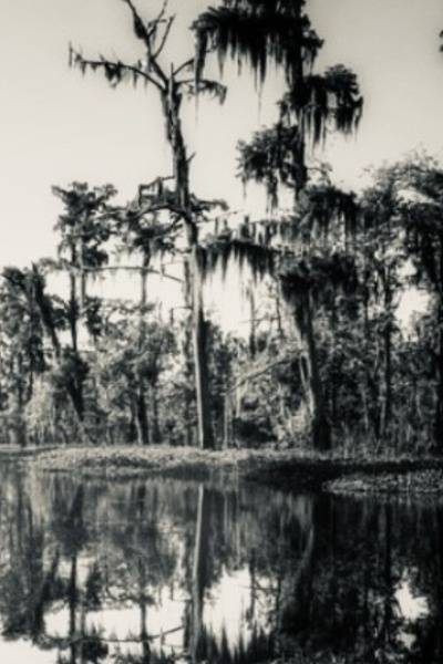 First Experiment - Experiment CX21: The Night it Was Released | Royal Road