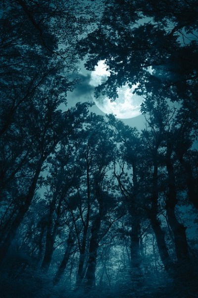 the start OF THE FALLING - THE ONE WHO COME BACK FROM HELL: THE RISE OF ...