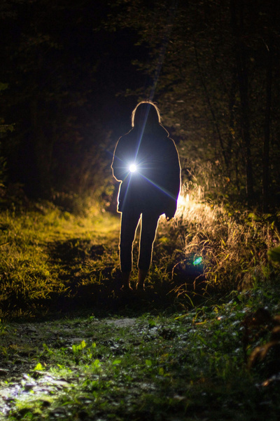 The Penlight Files | Royal Road