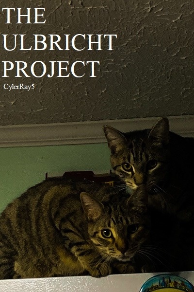 THE ULBRICHT PROJECT | Royal Road