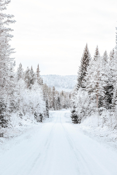 1- A Beautiful Moon - The White Forest | Royal Road