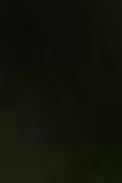 Chapter 11: WINTERBELL'S TESTING GROUND - The Wild Rose And The Knight ...