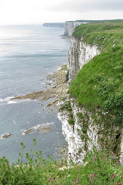 Through the Bottom of the World: A Choose-your-own-Speed Run | Royal Road